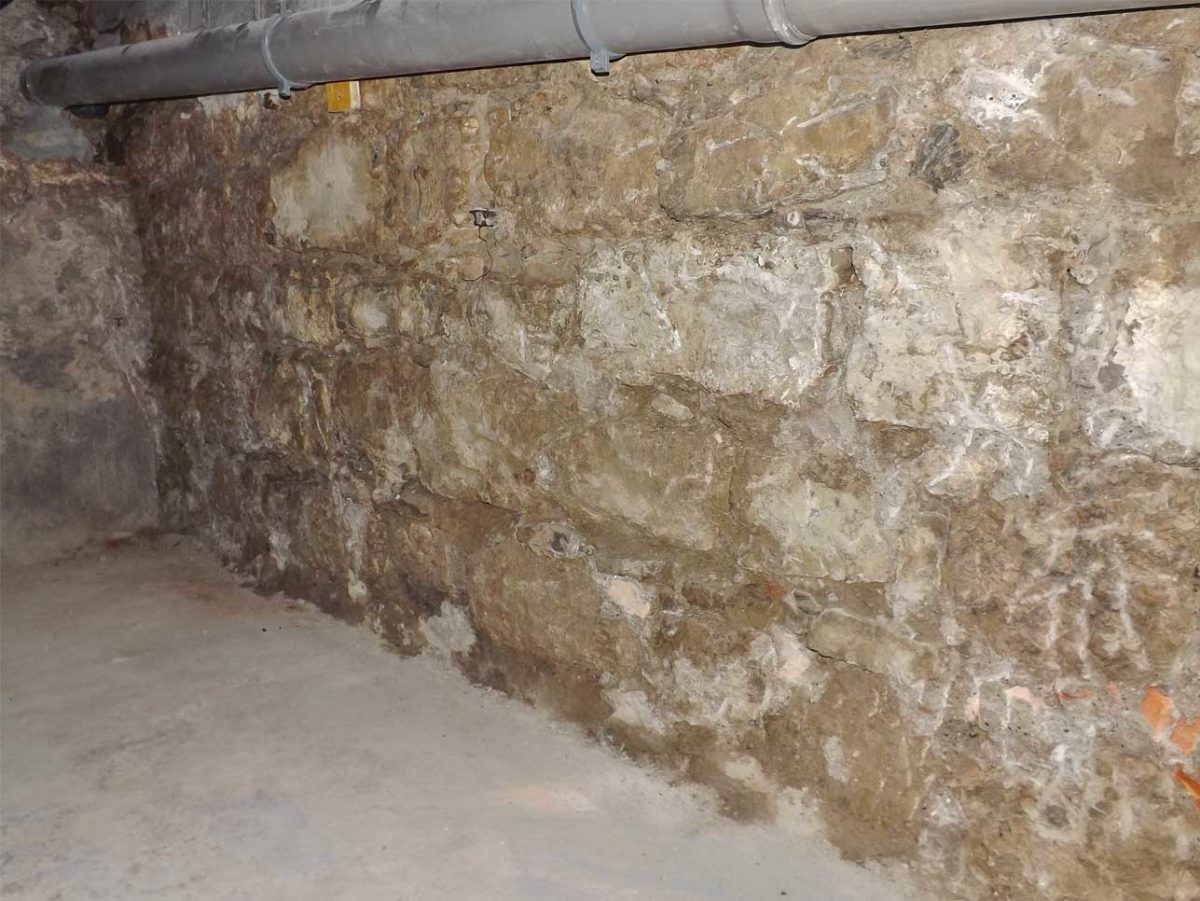Signs Mold May be Growing in Your Basement (Mould Removal)